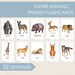 Spanish Safari Animals Flash Cards, Educational Printable Cards ...