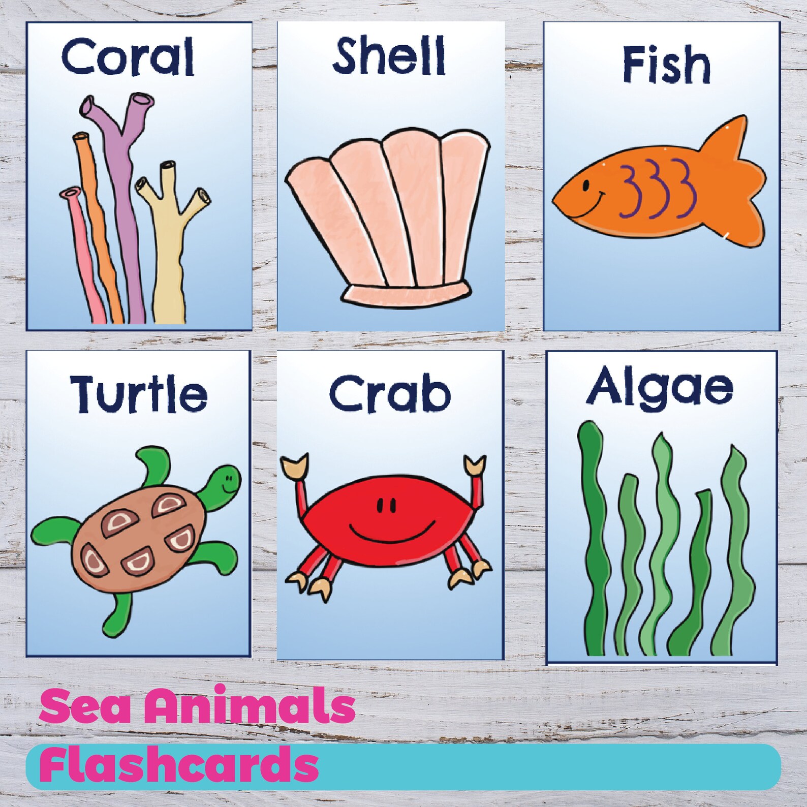 Sea Animals Flashcards Sea Animals Ocean Animals | Etsy