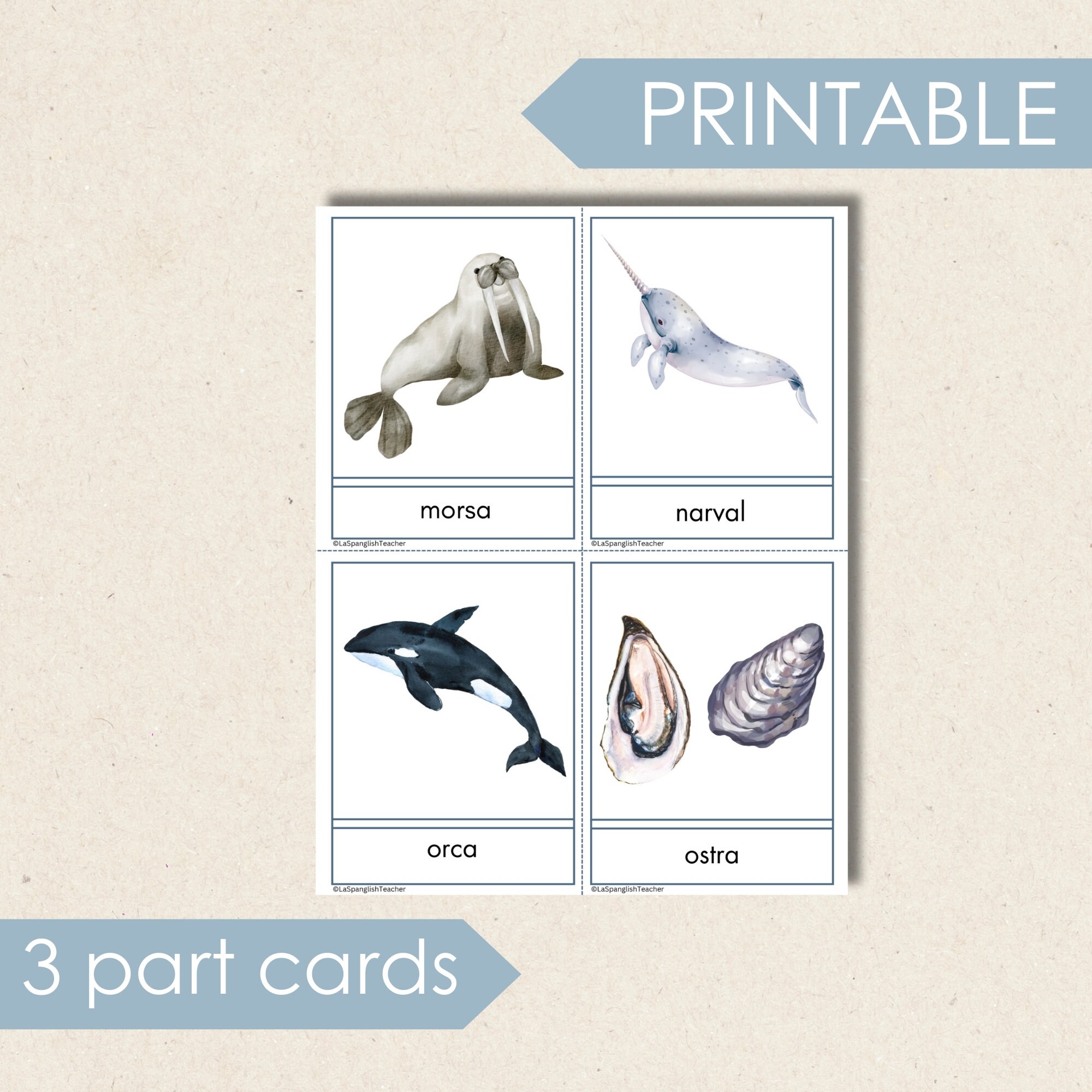 Spanish Ocean Animals Printable Flashcards, Educational Cards, Spanish ...
