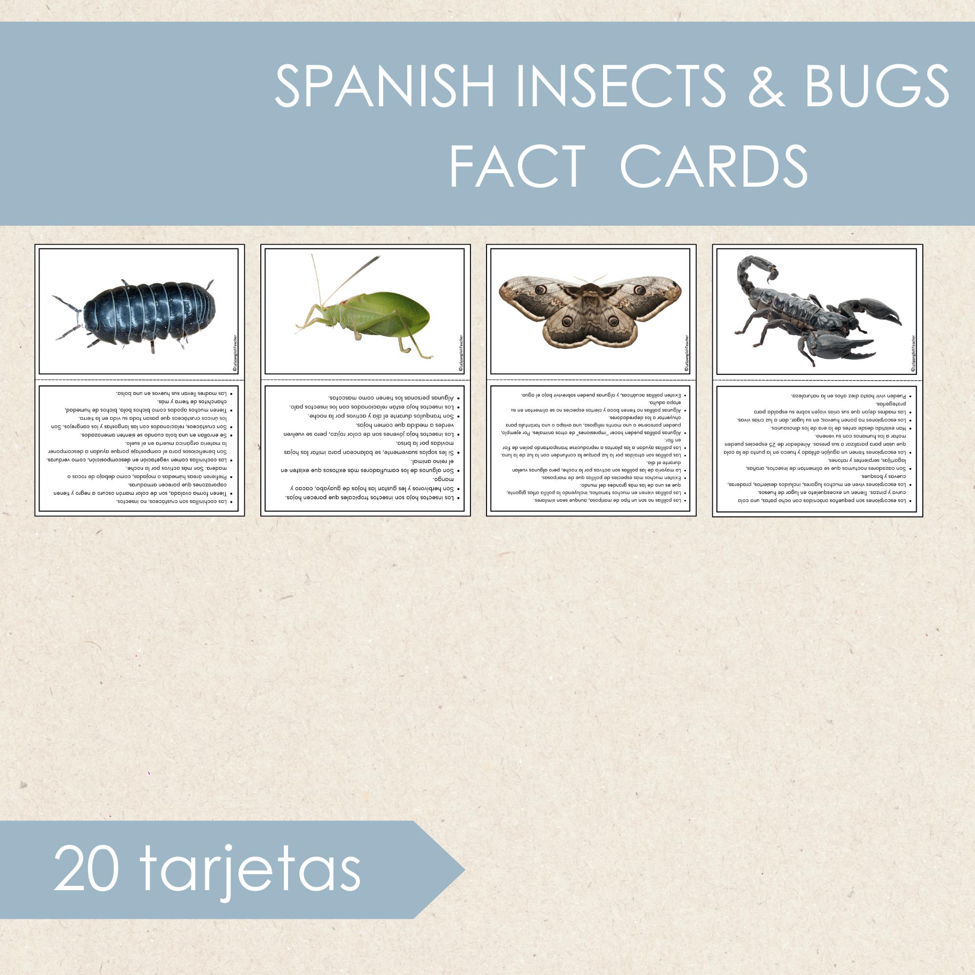 Spanish Insects and Bugs Fact Cards, Educational Cards, Printable ...