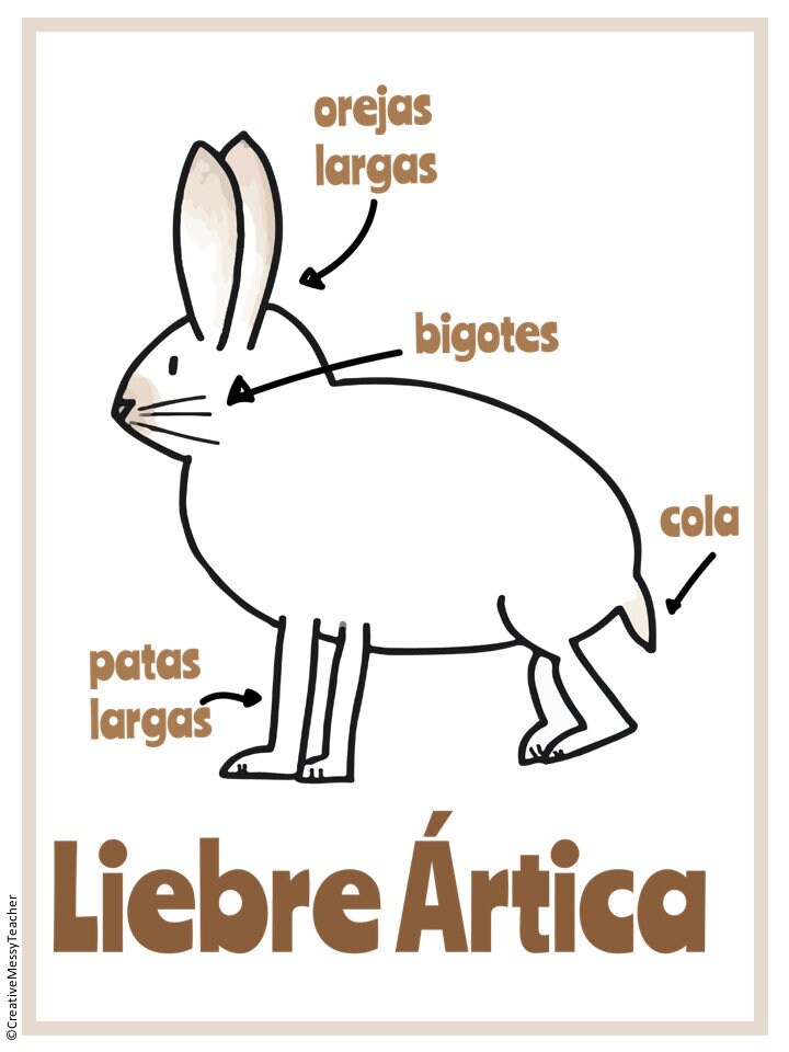 Arctic and Antarctic Animals Spanish Unit Study, Animales Del Artico ...