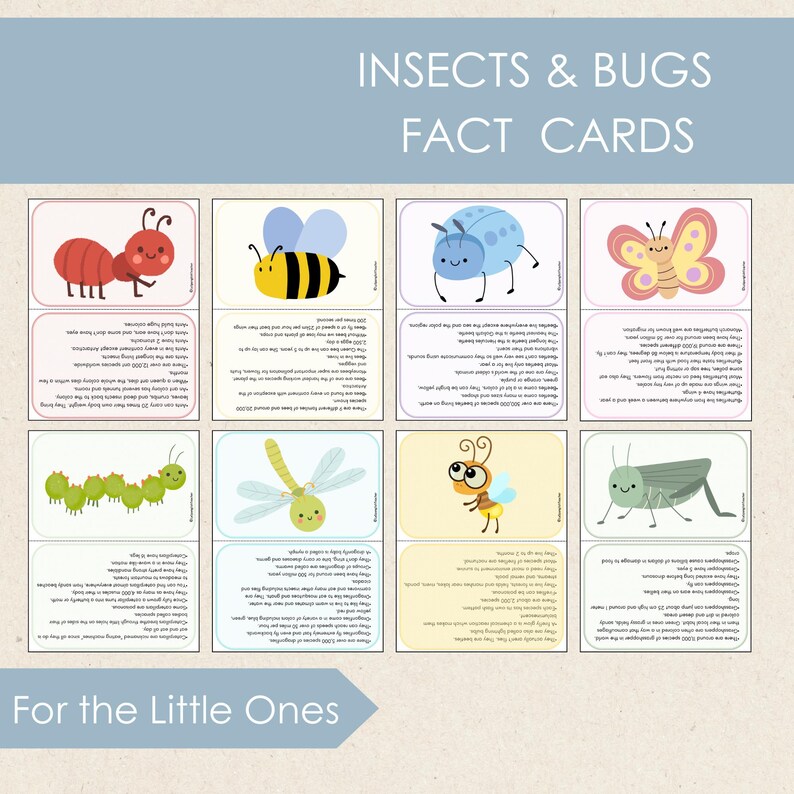 Insects and Bugs Fact Cards, Educational Flash Cards (PDF) - Etsy Australia