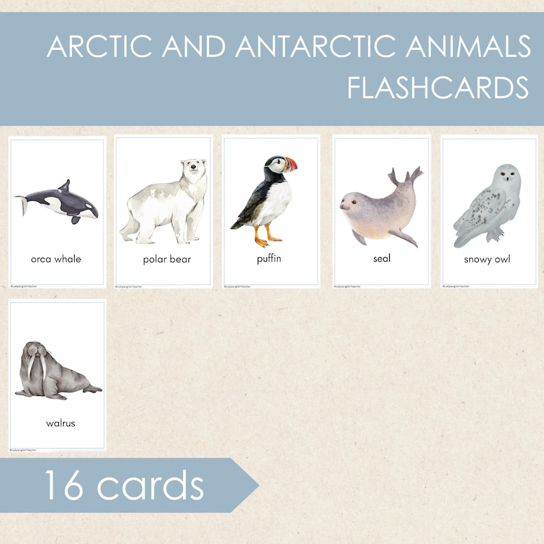 Arctic Animals Flashcards, Animal Vocabulary Cards, Winter Flashcards ...