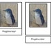 Spanish Types of Penguins 3 Part Cards, Montessori Cards, Winter ...
