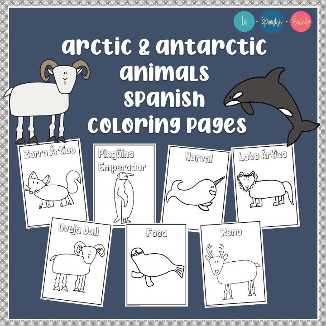 Arctic Animals Spanish Coloring Pages, Winter Animals Coloring Pages ...
