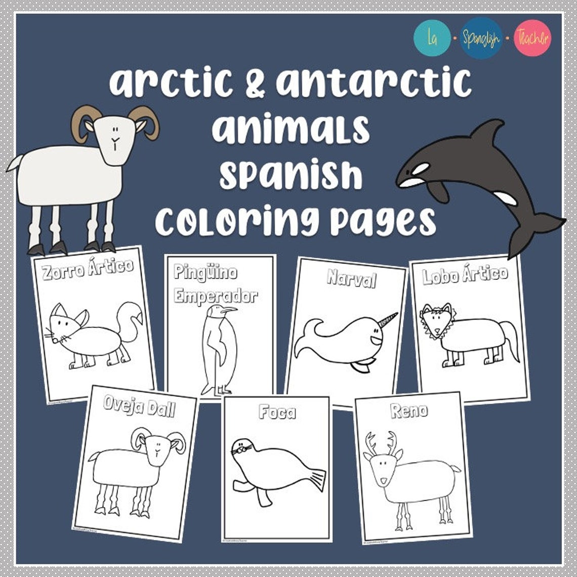 Arctic Animals Spanish Coloring Pages, Winter Animals Coloring Pages ...