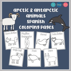 Arctic Animals Spanish Coloring Pages, Winter Animals Coloring Pages ...