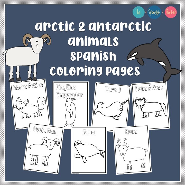 Arctic Animals Spanish Coloring Pages, Winter Animals Coloring Pages ...