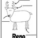 Arctic Animals Spanish Parts of the Body Posters, Winter Animals ...
