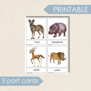 Spanish Safari Animals Flash Cards, Educational Printable Cards ...