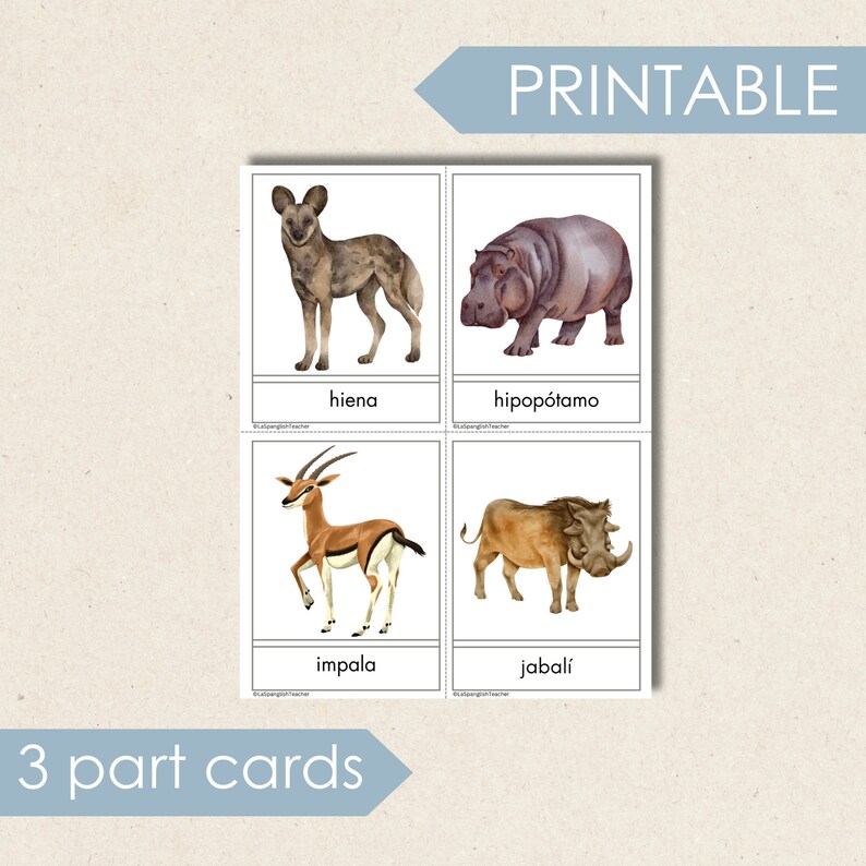 Spanish Safari Animals Flash Cards, Educational Printable Cards ...