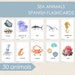Spanish Ocean Animals Flashcards, Montessori Educational Cards (digital ...