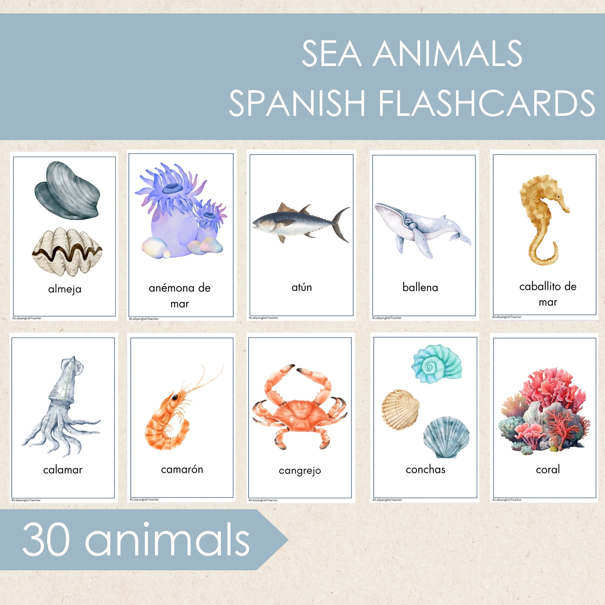Spanish Ocean Animals Printable Flashcards, Educational Cards, Spanish ...