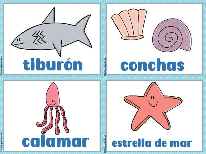 Spanish Sea Animals Printable Flashcards, Spanish Animal Vocabulary ...