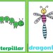 Bugs Printable Flashcards, Animal Vocabulary Cards, Card Games for Kids ...
