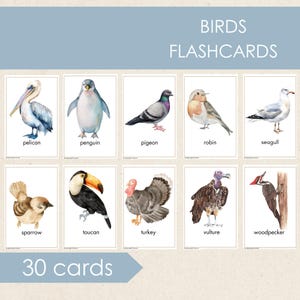 Kinds of Birds Flashcards, Educational Printable Cards, Birds ...