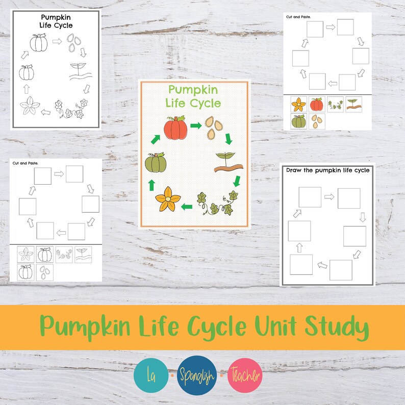 Pumpkin Unit Study, Pumpkin Life Cycle, Pumpkin Anatomy, Mini Unit ...