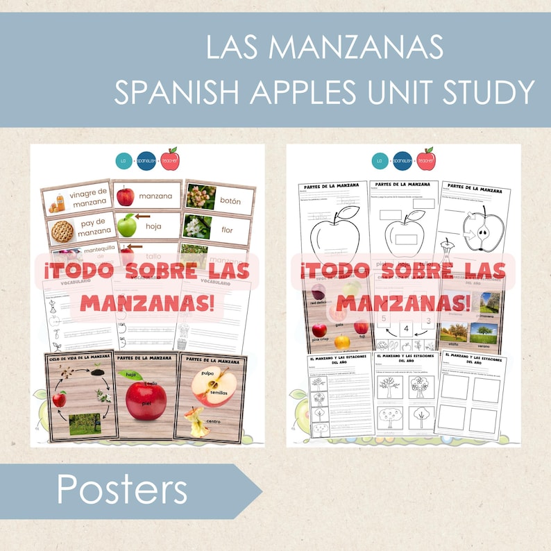 Spanish Apples Unit Study | Vocabulary Cards, Worksheets (PDF) - Etsy