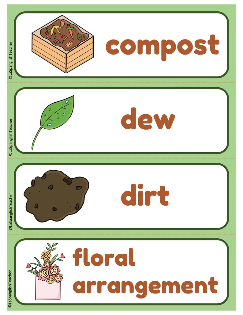 All About Plants Vocabulary Cards, Plants Word Wall Cards, Spring ...