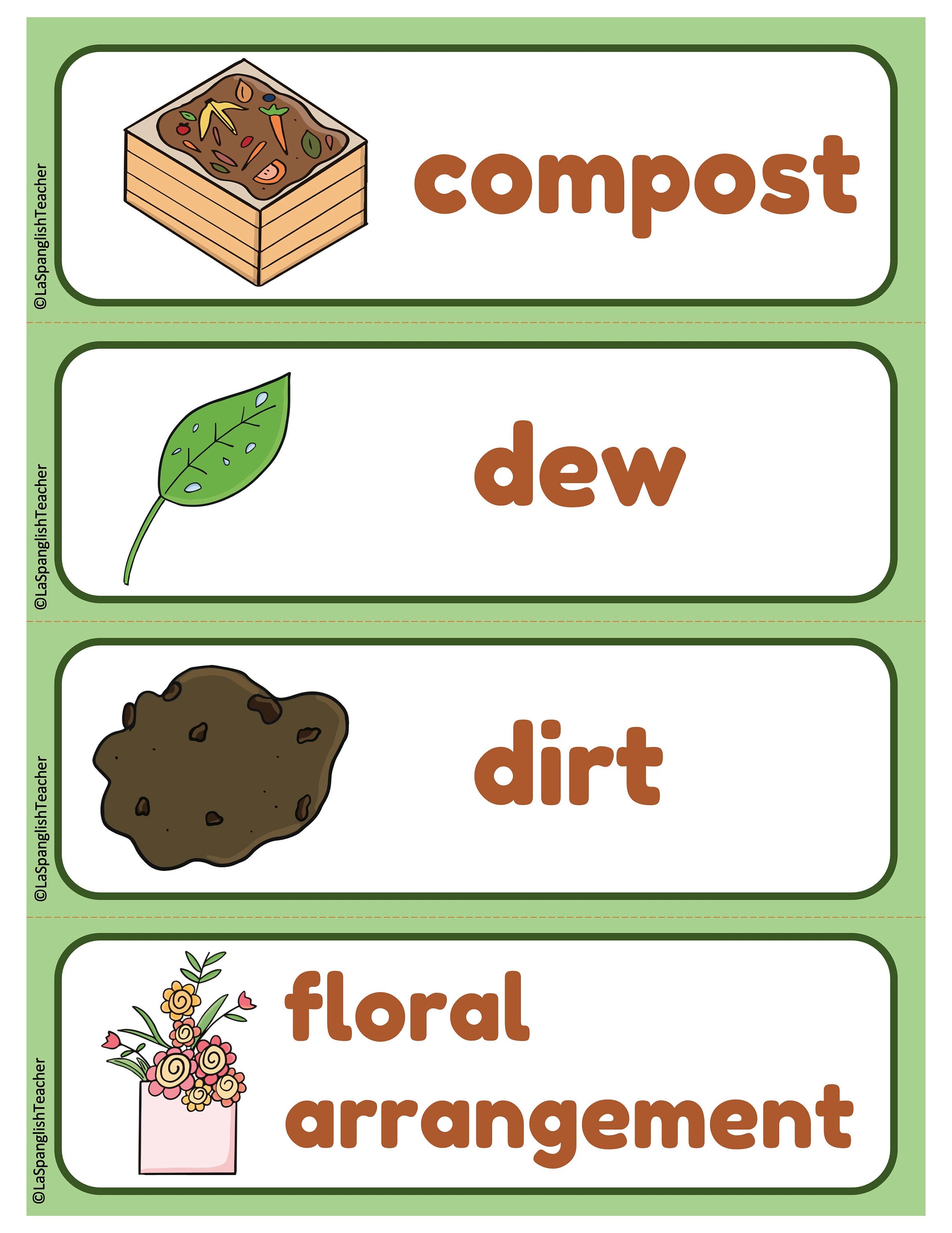 All About Plants Vocabulary Cards, Plants Word Wall Cards, Spring ...