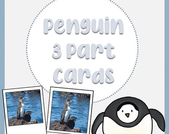 Spanish Types of Penguins 3 Part Cards, Montessori Cards, Winter ...