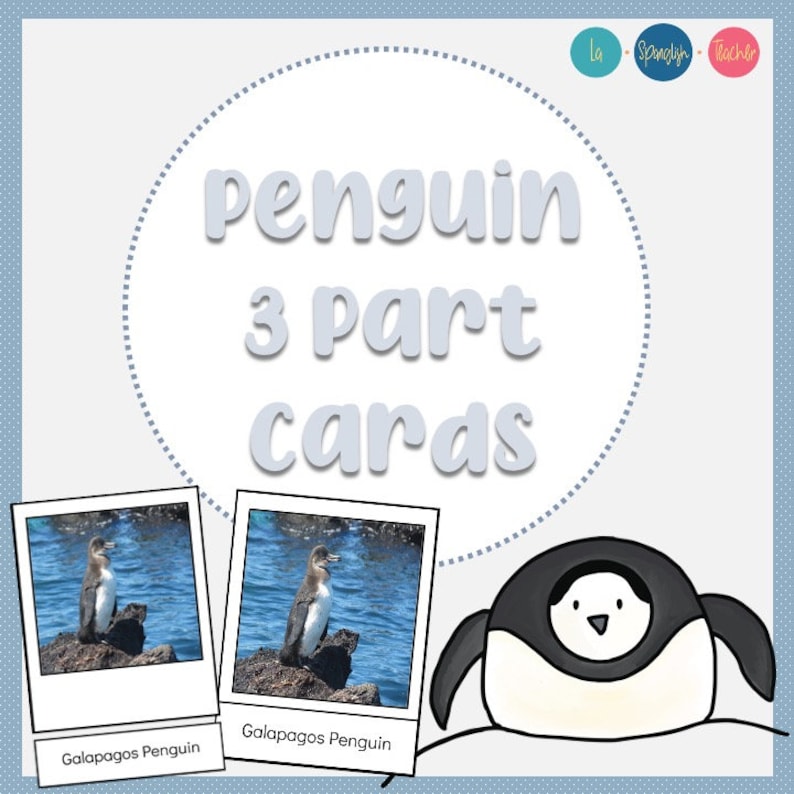 Types of Penguins 3 Part Cards, Montessori Cards, Winter Animals Cards ...