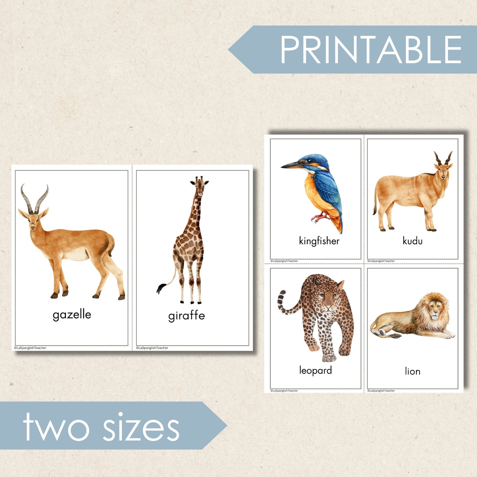 Safari Animals Flash Cards, Educational Printable Cards, Animals ...
