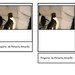 Spanish Types of Penguins 3 Part Cards, Montessori Cards, Winter ...