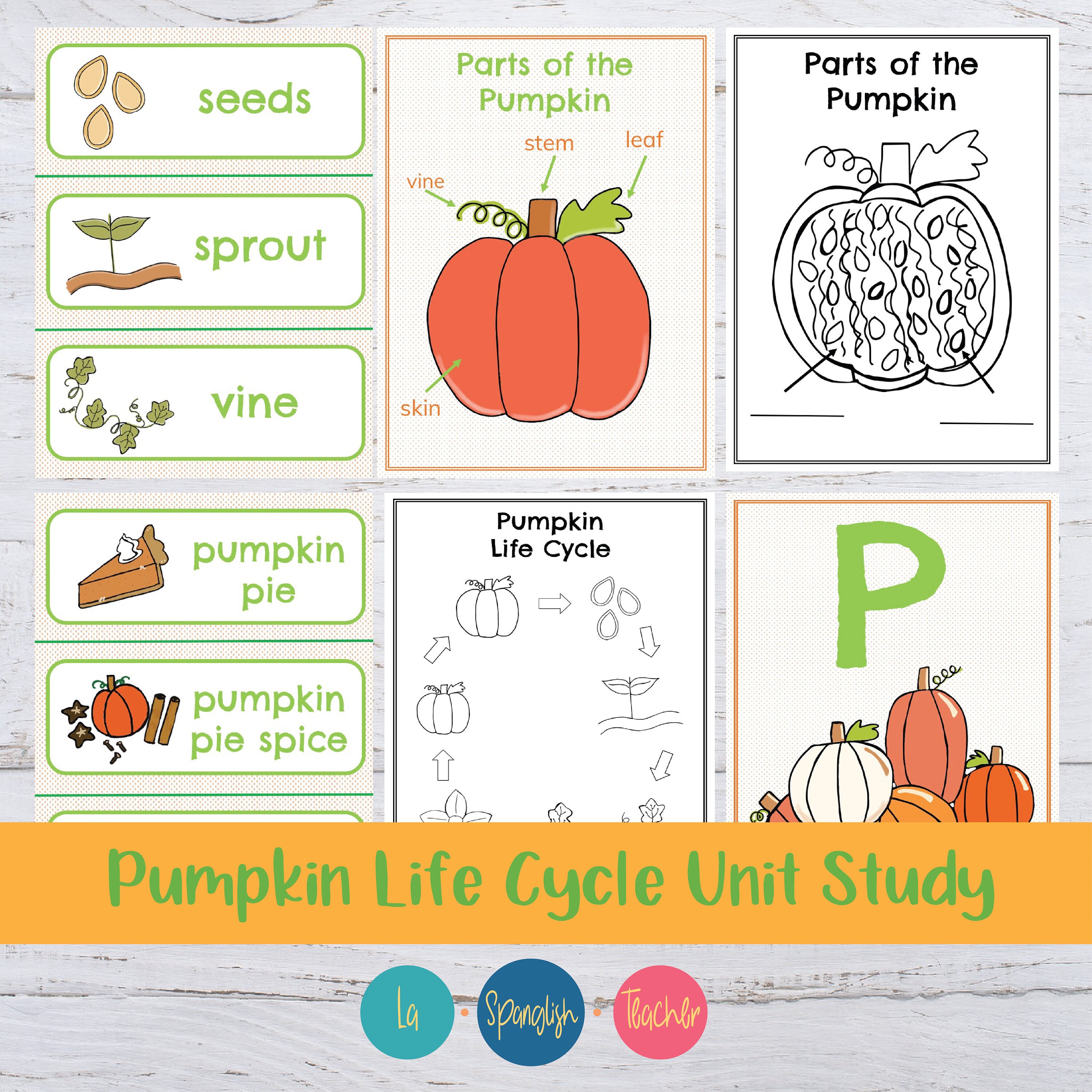 Pumpkin Unit Study, Pumpkin Life Cycle, Pumpkin Anatomy, Mini Unit ...
