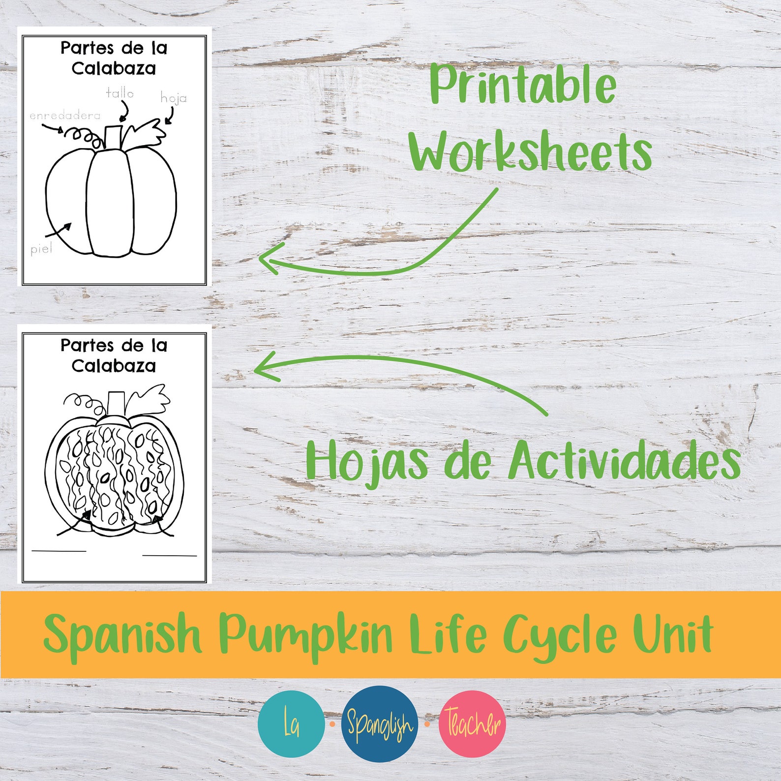 Spanish Pumpkin Unit Study, Spanish Pumpkin Life Cycle, Spanish Pumpkin ...