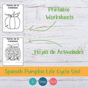 Spanish Pumpkin Unit Study, Spanish Pumpkin Life Cycle, Spanish Pumpkin ...