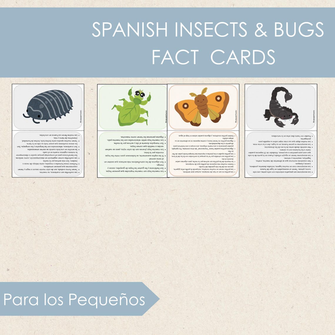 Spanish Insects and Bugs Fact Cards, Educational Cards, Printable ...