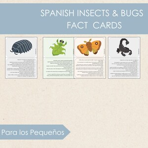 Spanish Insects and Bugs Fact Cards, Educational Cards, Printable ...