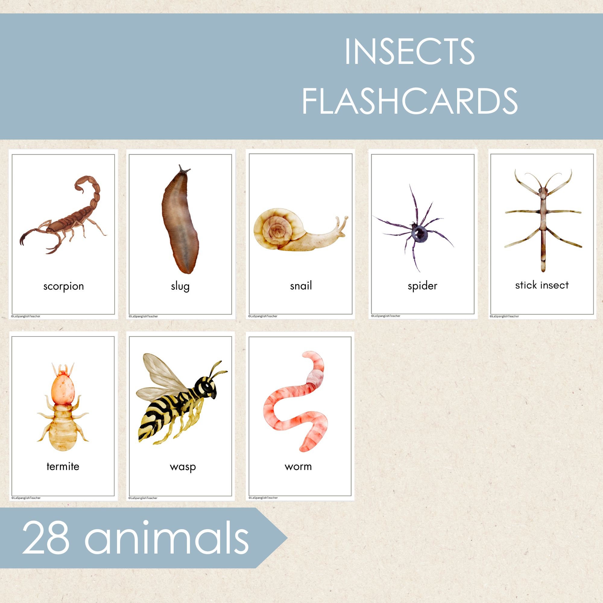 Insects Flash Cards, Animals Printable Cards, Educational Cards ...