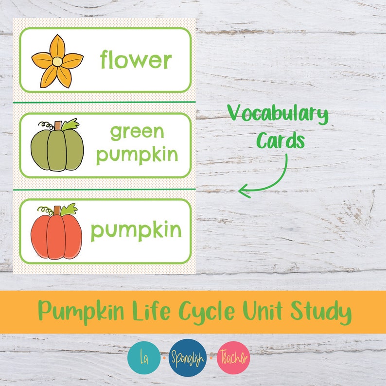 Pumpkin Unit Study, Pumpkin Life Cycle, Pumpkin Anatomy, Mini Unit ...