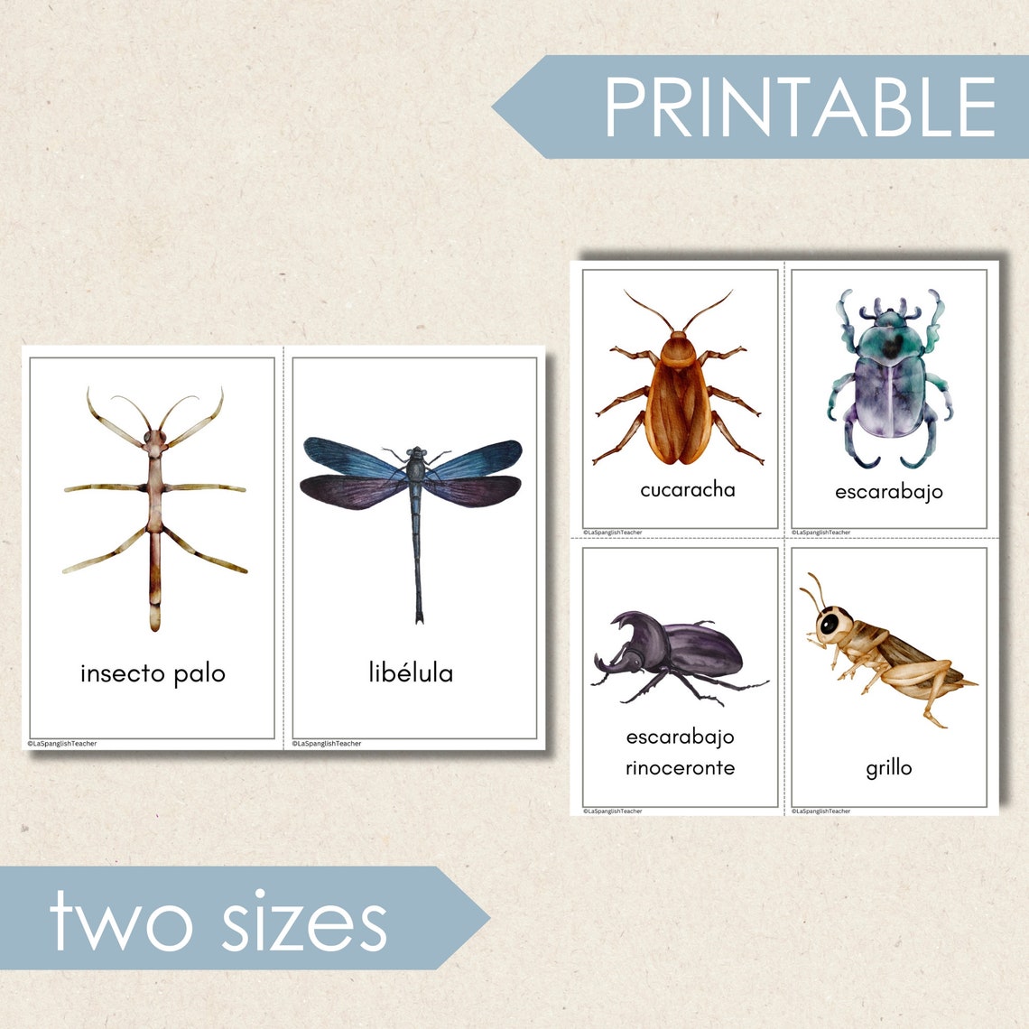 Spanish Insects Flash Cards, Spanish Animals Printable Cards ...