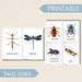 Spanish Insects Flash Cards, Spanish Animals Printable Cards ...