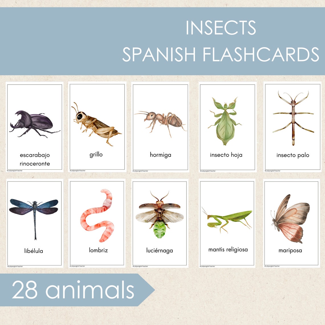 Spanish Insects Flash Cards, Spanish Animals Printable Cards ...