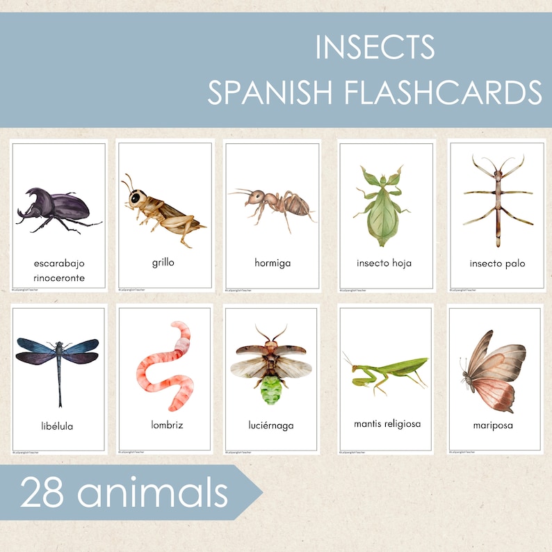 Spanish Insects Flash Cards, Spanish Animals Printable Cards ...
