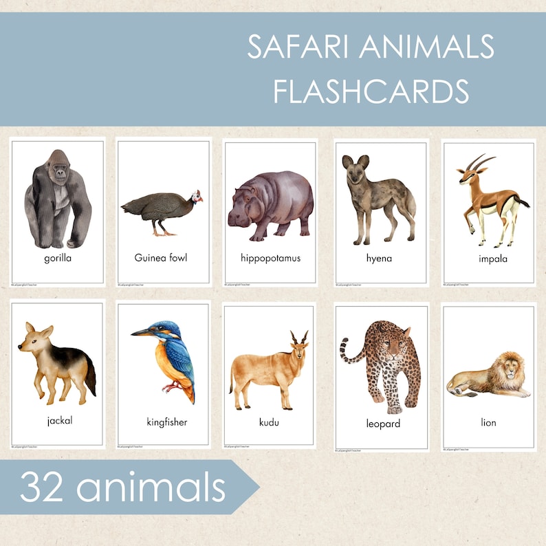 Safari Animals Flash Cards, Educational Printable Cards, Animals ...
