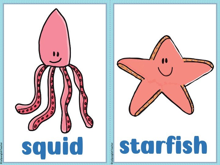 Sea Animals Printable Flashcards, Animals Vocabulary Cards, Card Games ...
