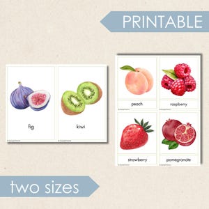 Fruits Flashcards, Educational Printable Cards, Fruits Vocabulary Cards ...