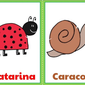 Spanish Bugs Printable Flashcards, Spanish Animal Vocabulary Cards ...