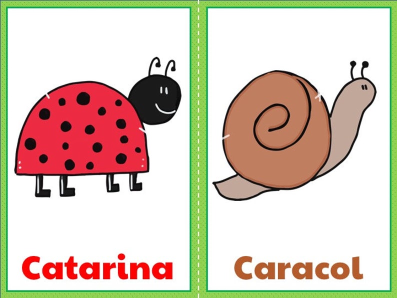 Spanish Bugs Printable Flashcards, Spanish Animal Vocabulary Cards ...