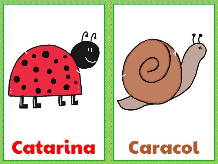 Spanish Bugs Printable Flashcards, Spanish Animal Vocabulary Cards ...