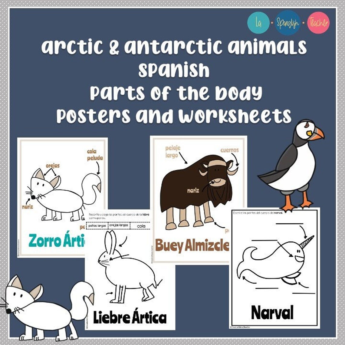 Arctic Animals Spanish Parts of the Body Posters, Winter Animals ...