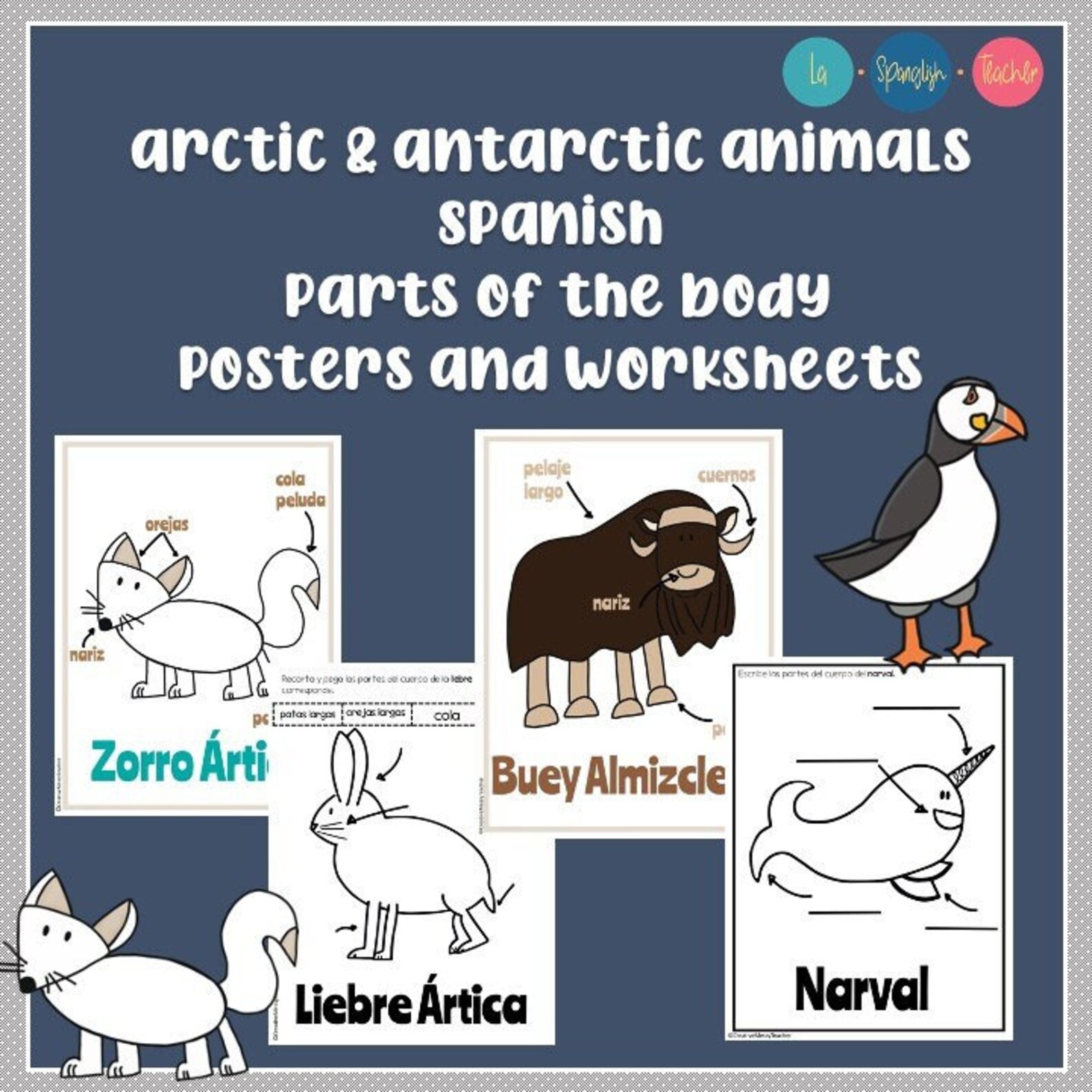 Arctic Animals Spanish Parts of the Body Posters, Winter Animals ...