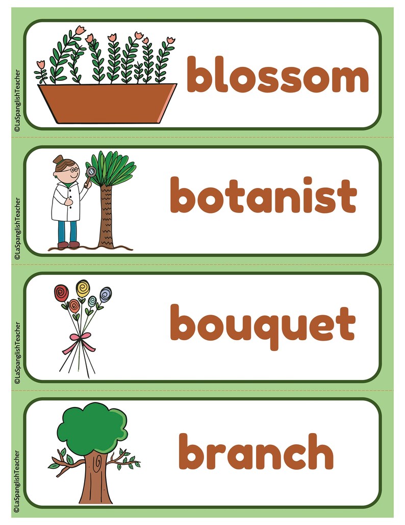 All About Plants Vocabulary Cards, Plants Word Wall Cards, Spring ...