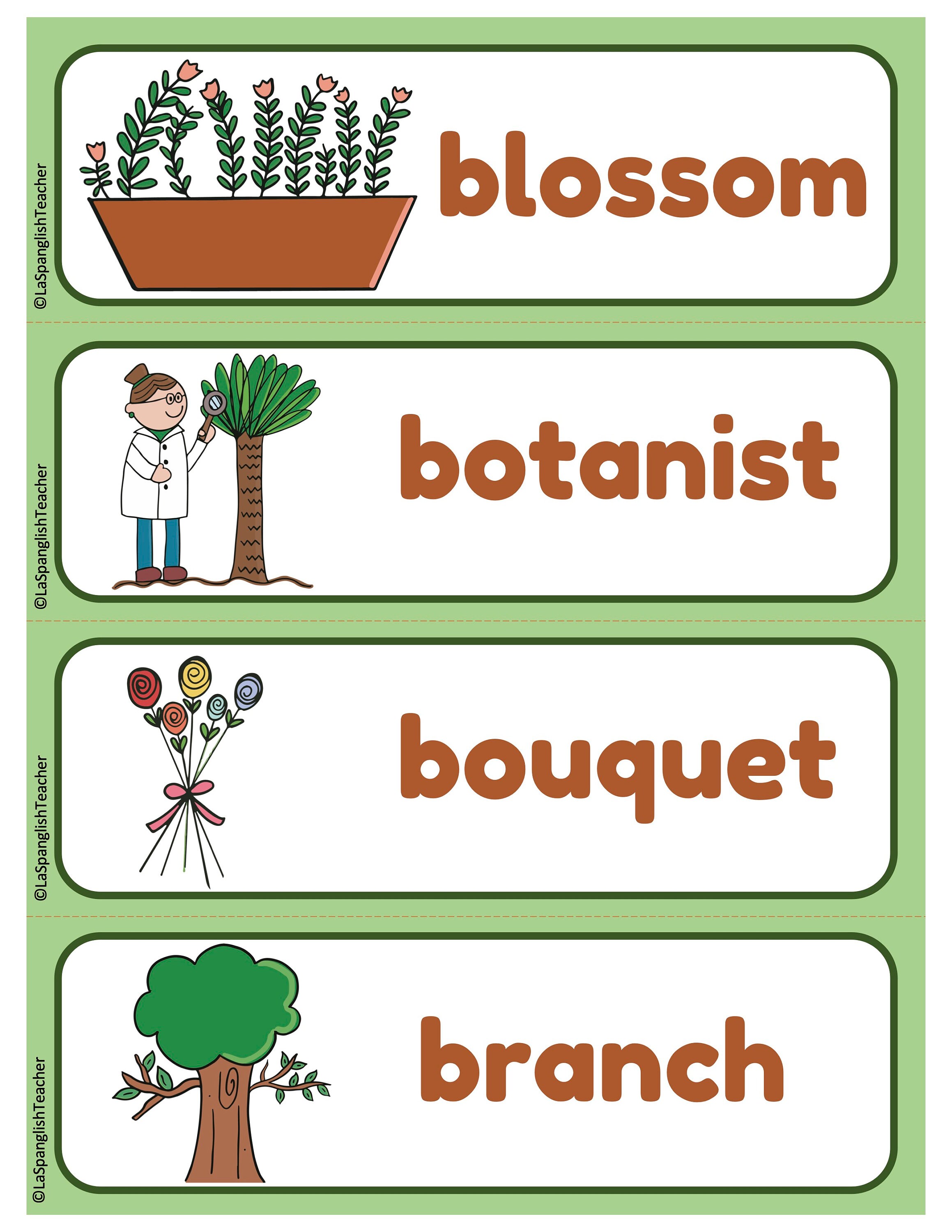 All About Plants Vocabulary Cards, Plants Word Wall Cards, Spring ...