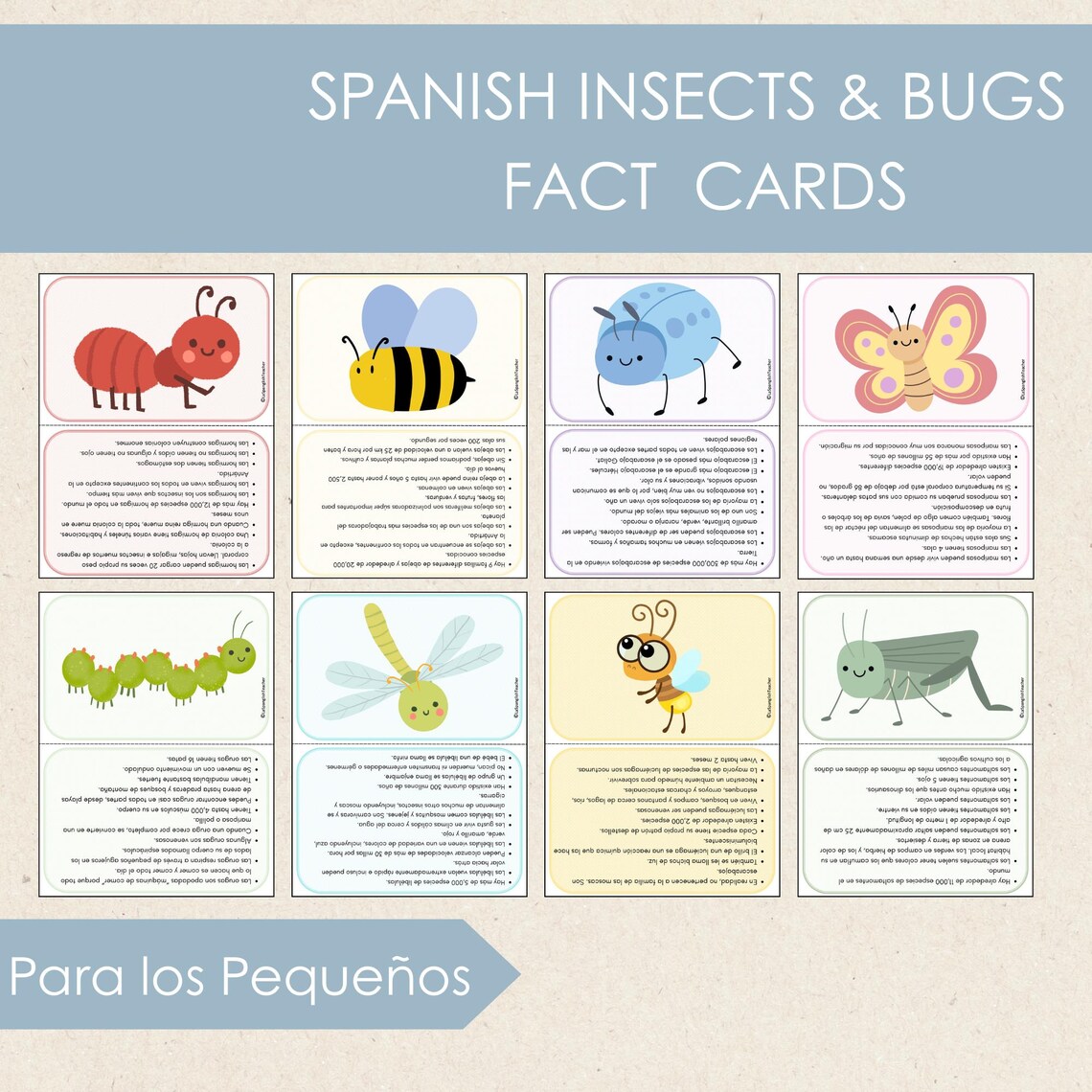 Spanish Insects and Bugs Fact Cards, Educational Cards, Printable ...